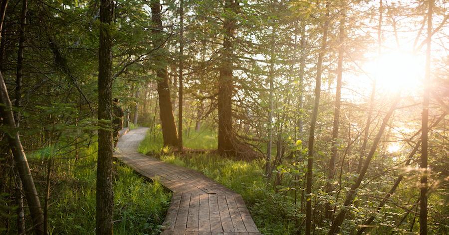 guided pathways to majors and careers