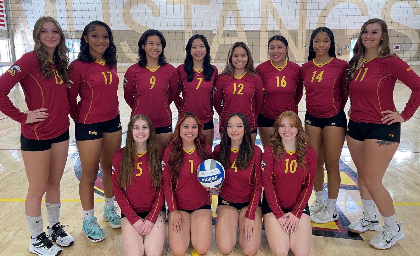 Volleybal Team Photo